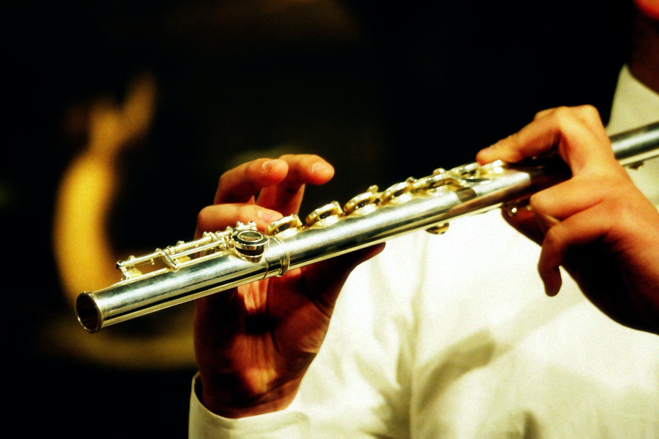 Tips to Increase Lung Capacity for Wind Instrument Players ...
